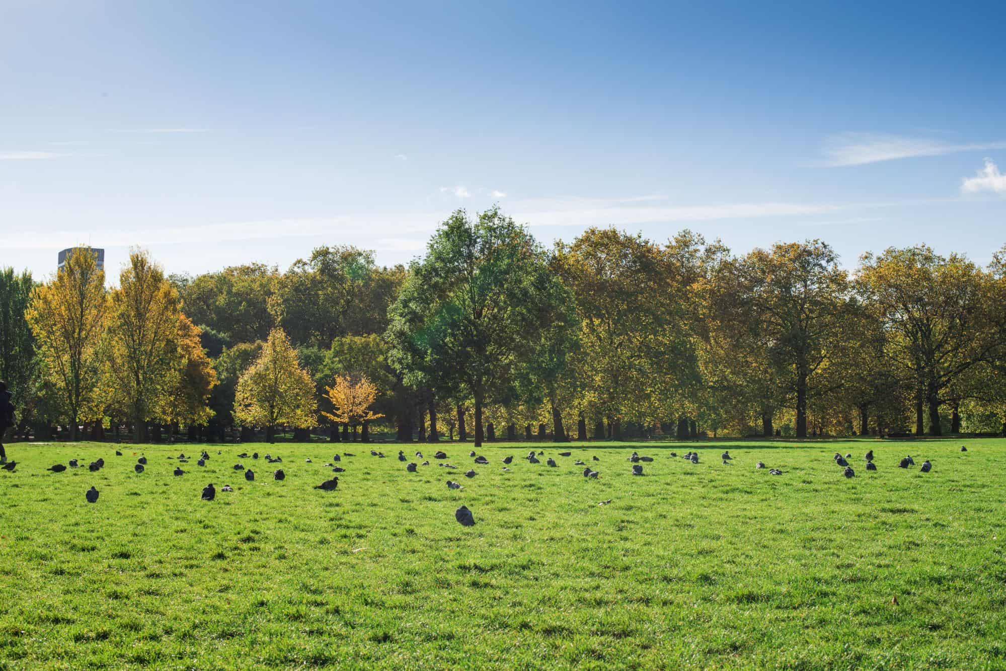 Top Picks: The Best Areas to Move to in Wood Green